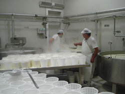 ΕΝΩΣΗ ΑΓΡΟΤΙΚΩΝ ΣΥΝΕΤΑΙΡΙΣΜΩΝ ΜΥΛΟΠΟΤΑΜΟΥ